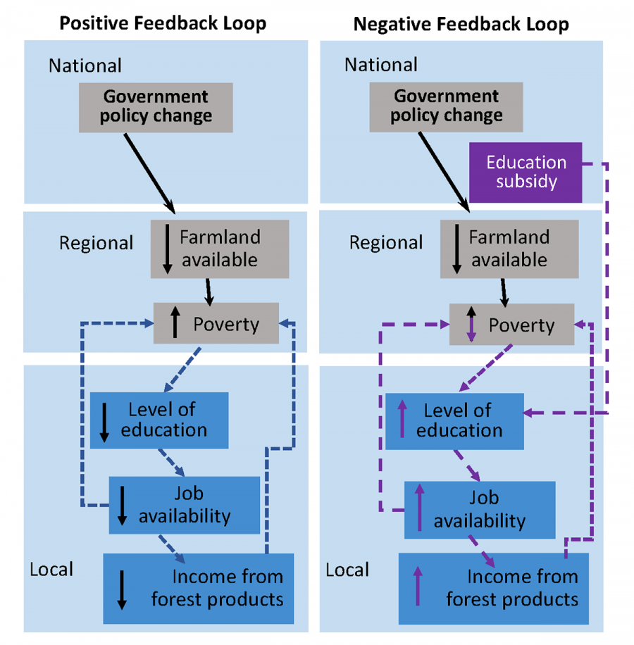 Feedback Loops And Socio Environmental Systems SESYNC feedback-loops-and-socio-environmental-systems-sesync